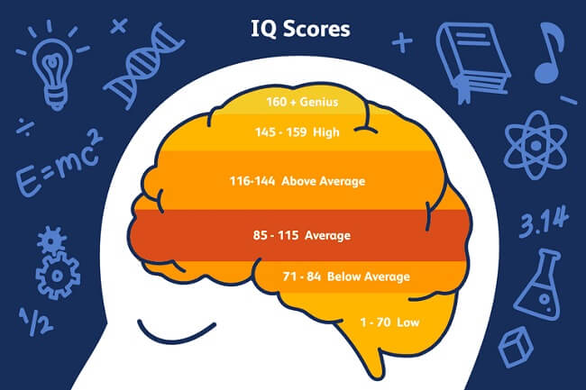 The facts about IQ 123 The facts about IQ 123